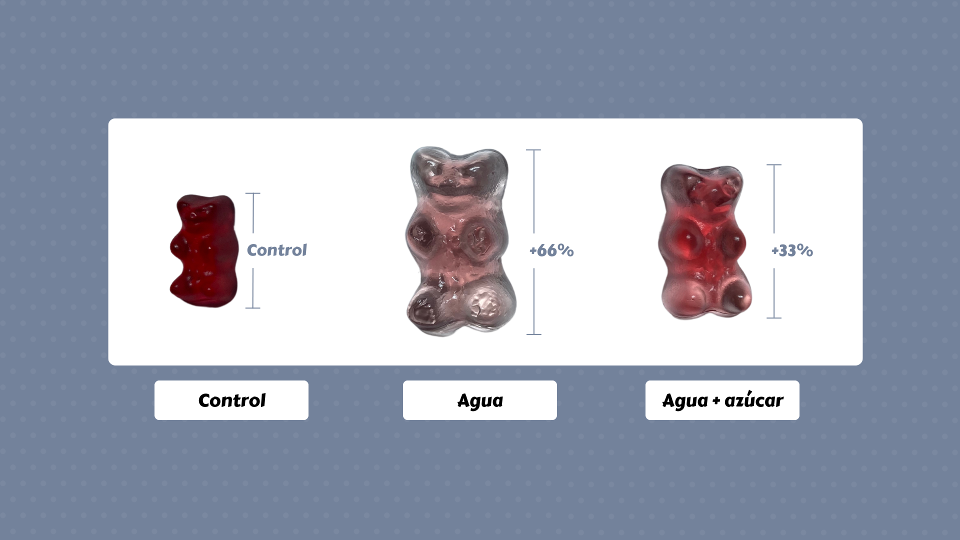 Ositos de gominola unos hinchan y otros no | espazoABALAR